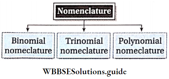 The Living World Notes - WBBSE Solutions