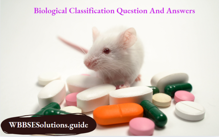 Biological Classification Question And Answers - WBBSE Solutions