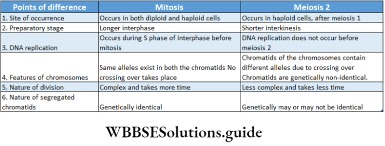 Cell Cycle And Cell Division Notes - WBBSE Solutions