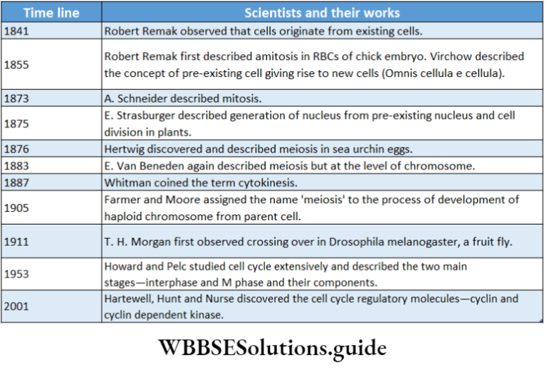 Cell Cycle And Cell Division Notes - WBBSE Solutions