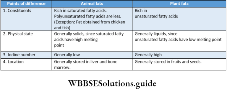 Lipids - Definition, Structure ,Classification, Types - WBBSE Solutions