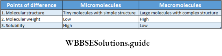 Biomolecules Notes - WBBSE Solutions