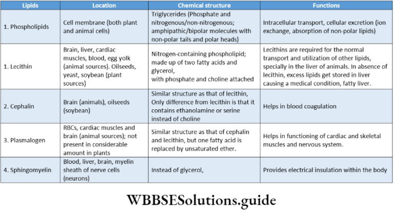 Lipids - Definition, Structure ,Classification, Types - WBBSE Solutions