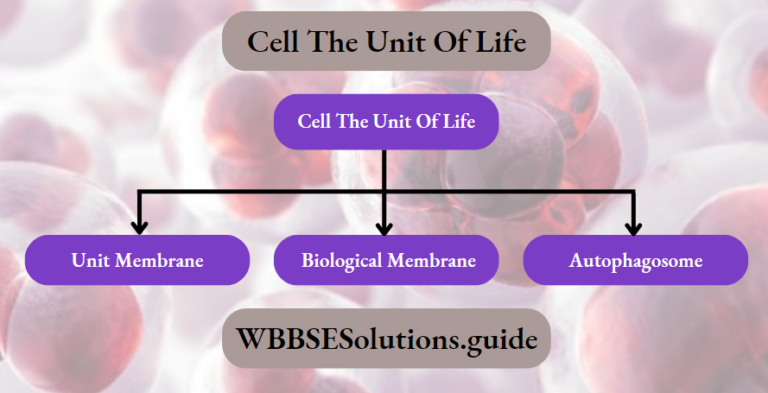 Cell The Unit Of Life Question And Answers - WBBSE Solutions