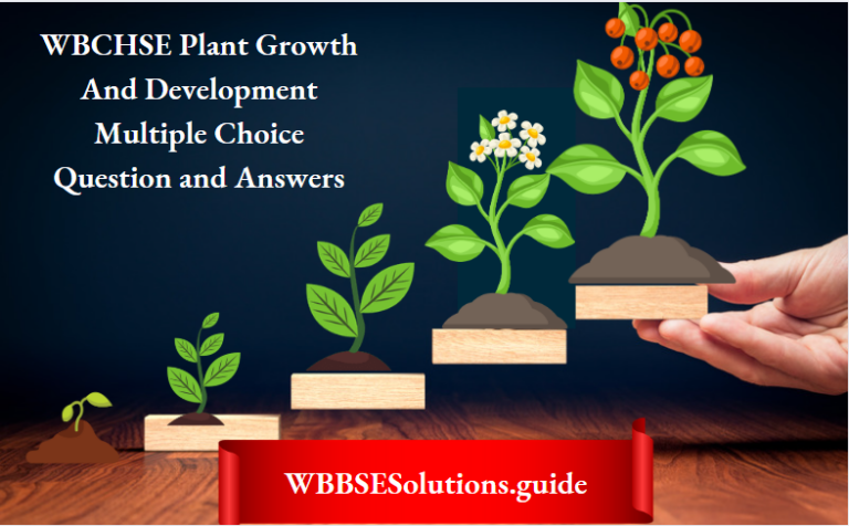 Plant Growth And Development Multiple Choice Question and Answers ...