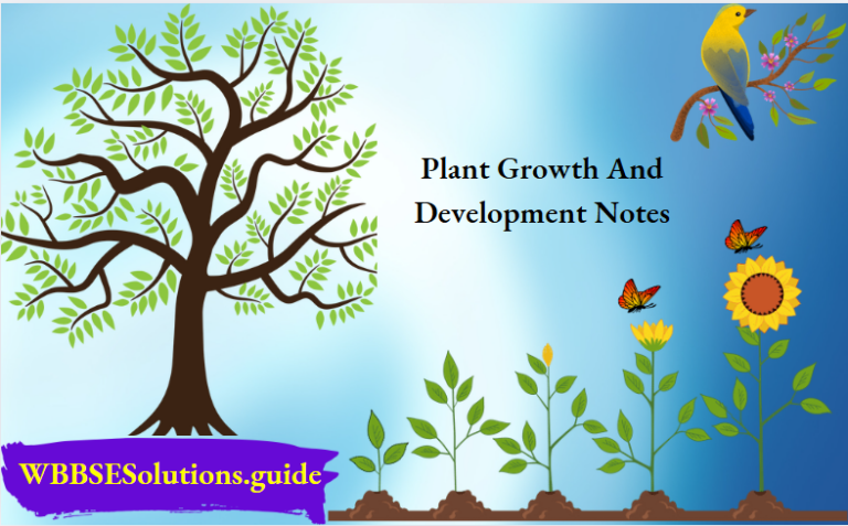 Plant Growth And Development Notes - WBBSE Solutions
