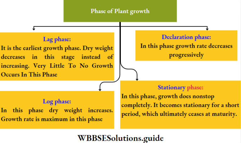 Plant Growth And Development Notes - WBBSE Solutions