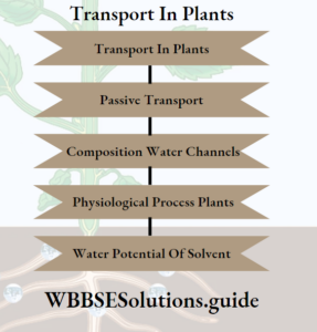 Transport In Plants Question and Answers - WBBSE Solutions