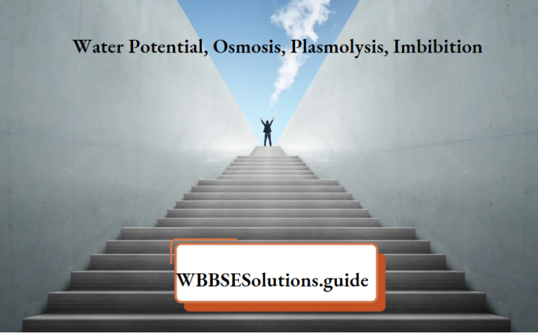 Water Potential, Osmosis, Plasmolysis, Imbibition - WBBSE Solutions