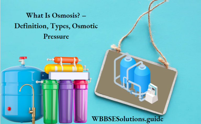 What Is Osmosis? - Definition, Types, Osmotic Pressure - WBBSE Solutions