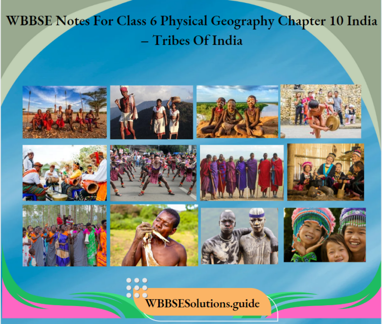 WBBSE Notes For Class 6 Physical Geography Chapter 10 India - Tribes Of ...