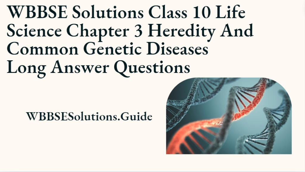 Class 10 Life Science And Environment Archives - WBBSE Solutions