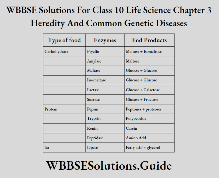 WBBSE Solutions Class 10 Life Science Chapter 3 Heredity And Common Genetic Diseases Short ...