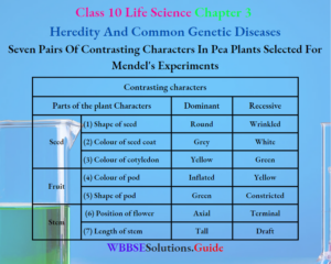WBBSE Solutions Class 10 Life Science Chapter 3 Heredity And Common ...