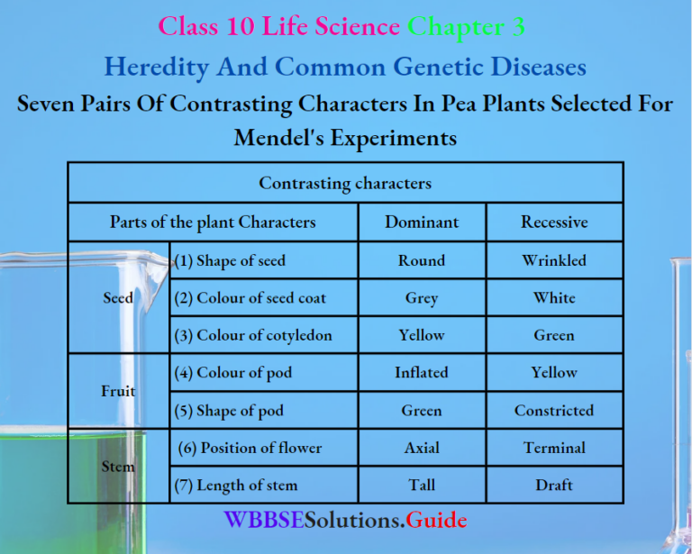 WBBSE Solutions Class 10 Life Science Chapter 3 Heredity And Common ...